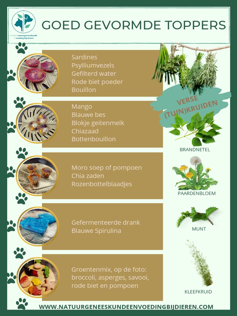 Goed Gevormde Toppers | PDF