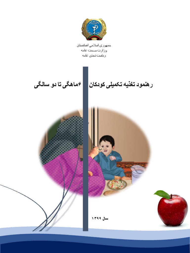 Complementary Food Dari Final Guide 2020 | PDF