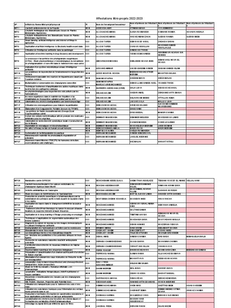 Affectations Finales Mini Projets 2022 2023 | PDF