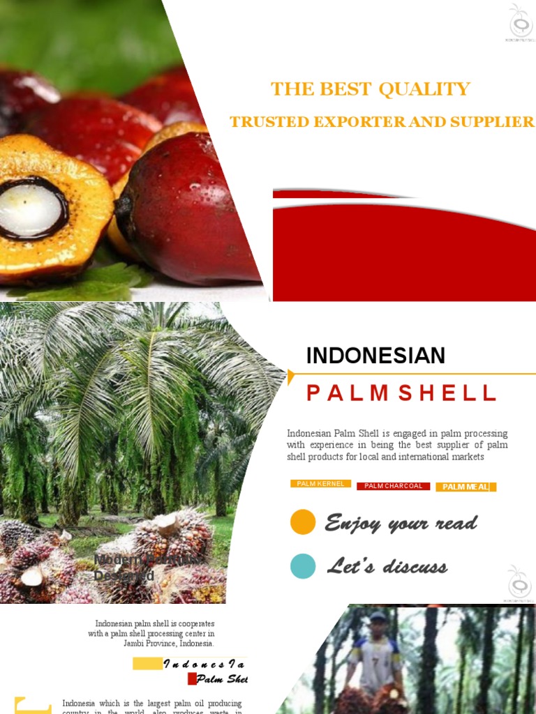 Indonesian Palm Shell: Quality Exporter | PDF | Palm Oil | Indonesia