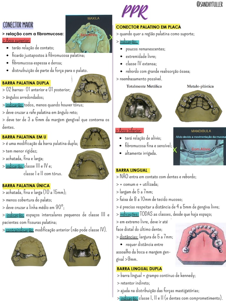 PPR - Elementos | PDF