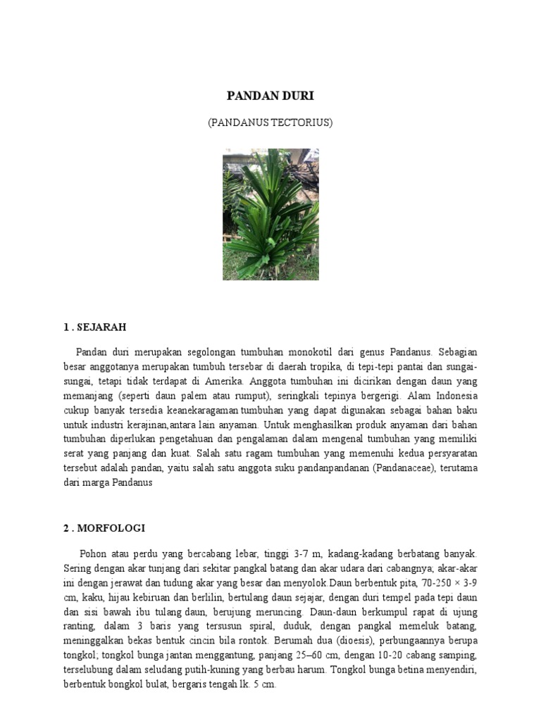Pandan Duri (1) | PDF