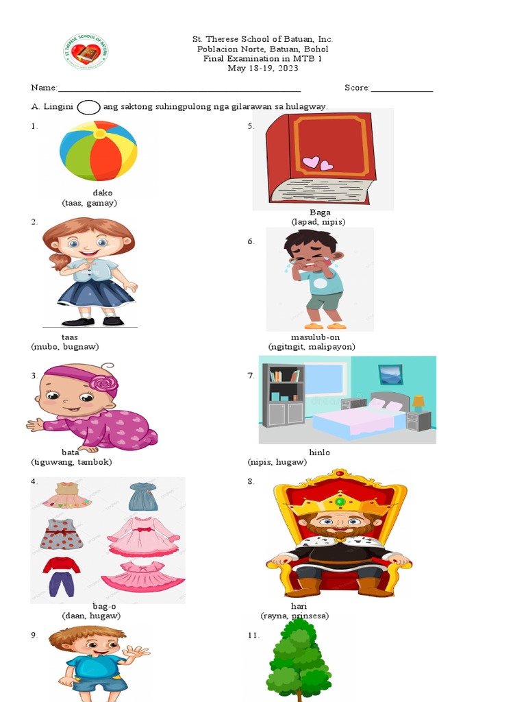 MTB 1 Final Exam | PDF