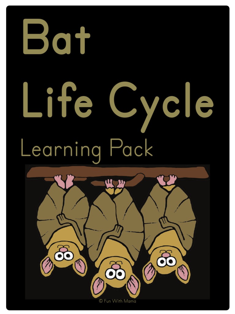 Bat Life Cycle Pack | PDF
