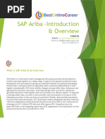 Ariba CIG Mapping Tool Overview | PDF | Software | Computer Programming