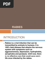 Rabies contact flowchart for humans | Rabies | Veterinary Medicine