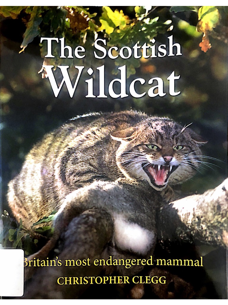 The Scottish WildCat - Christopher Clegg | PDF