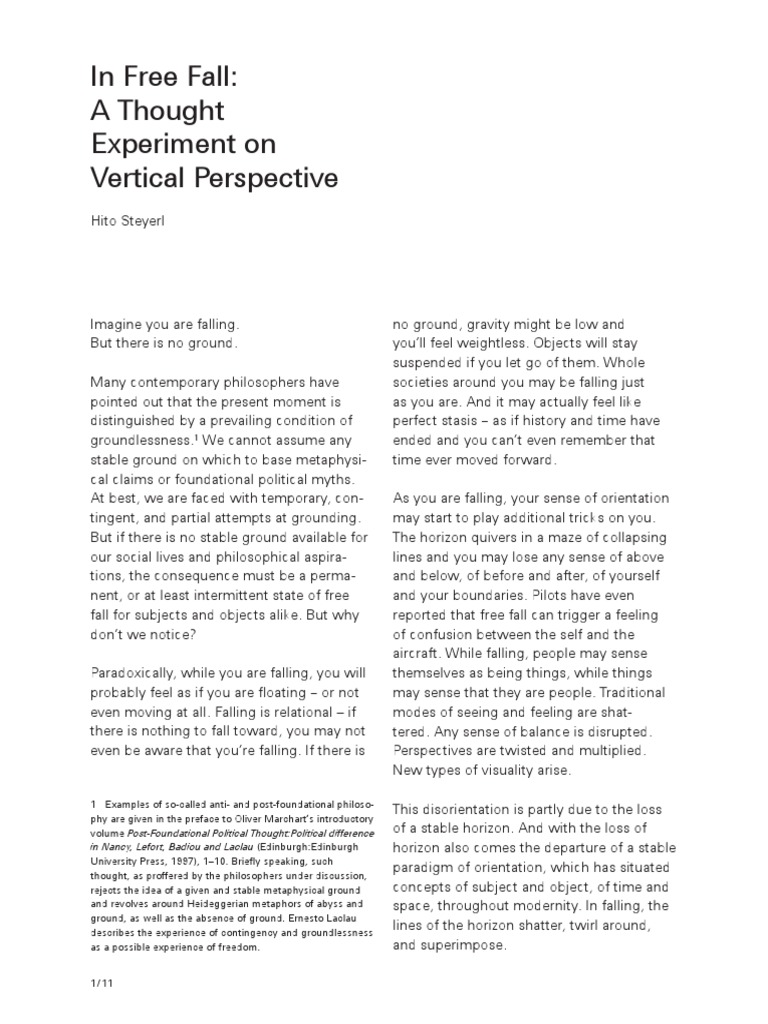 Hito Steyeld in - Free - Fall | PDF