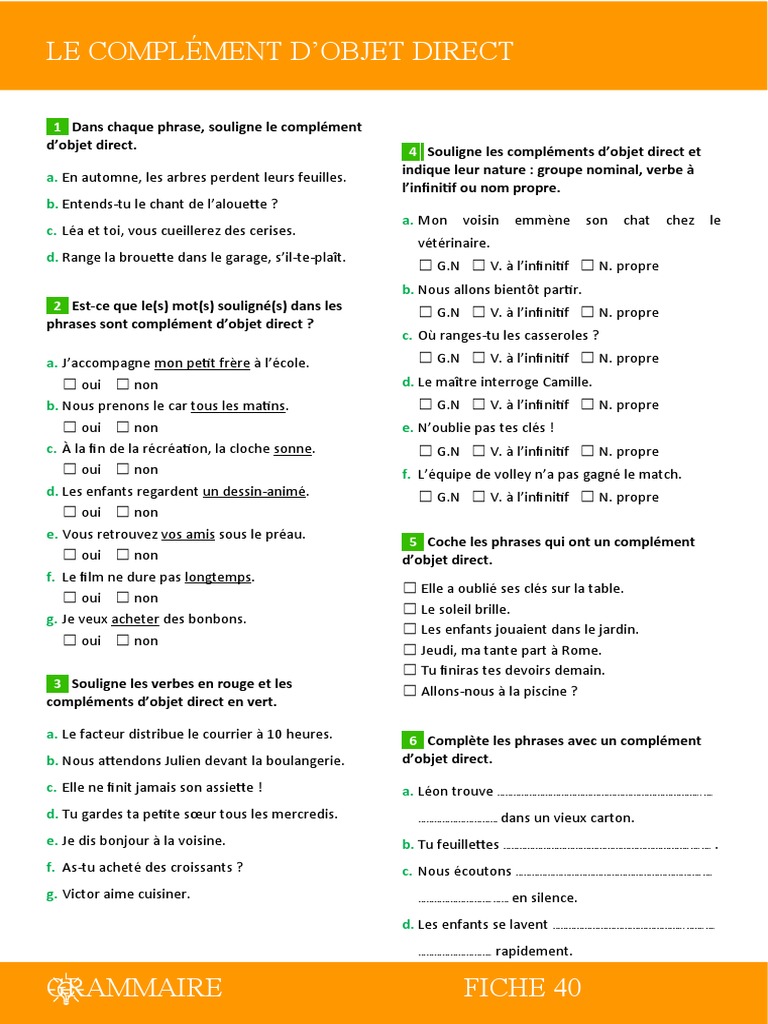 Complement Objet Direct | PDF
