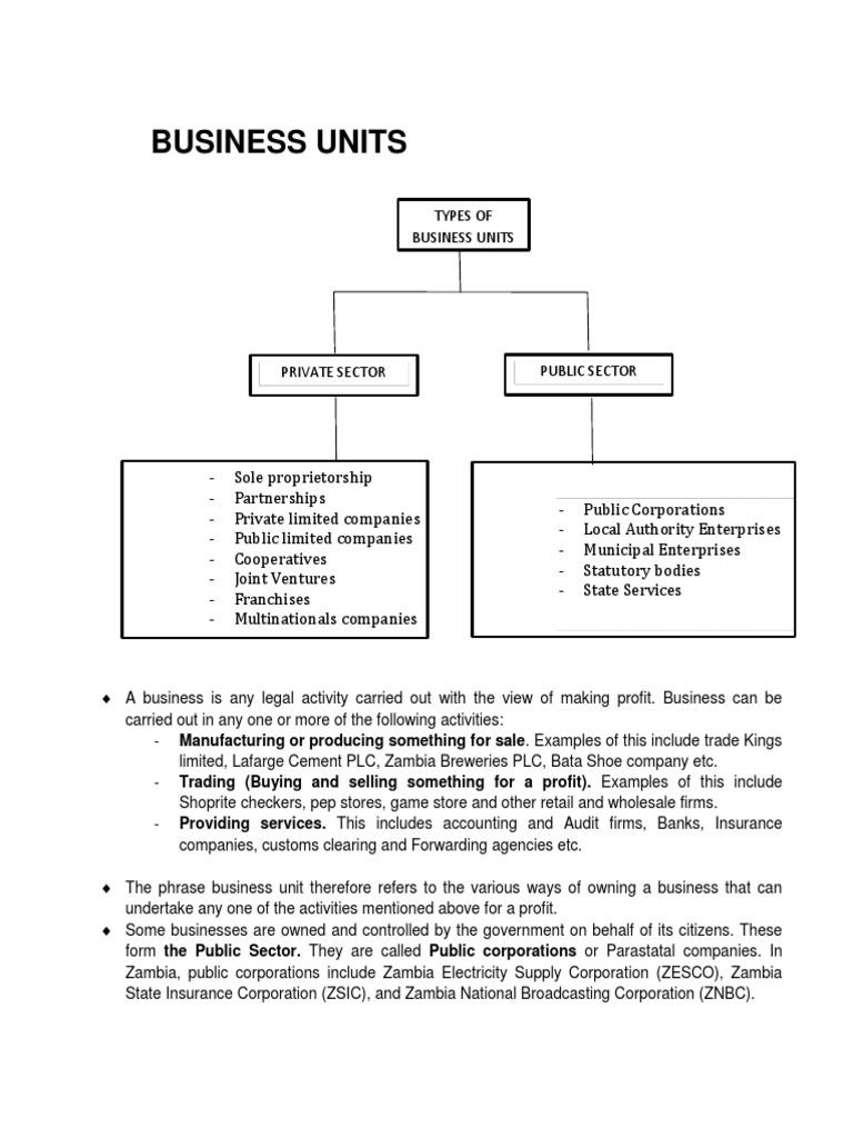 Business Units | PDF