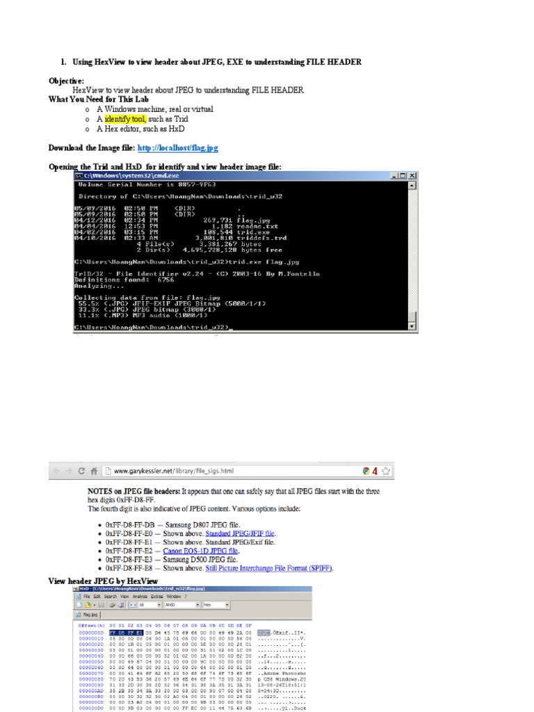 1.2 How To Use Some Tools For Viewing Header File | PDF | Computer File | Computer Engineering