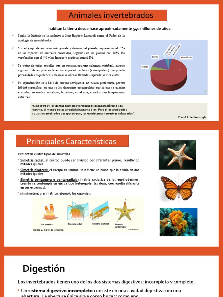 Animales Invertebrados | PDF