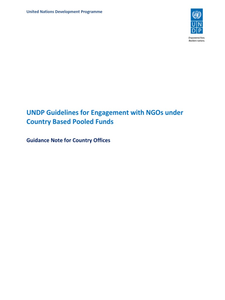 FRM - Financial Management and Implementation Modalities - UNDP ...