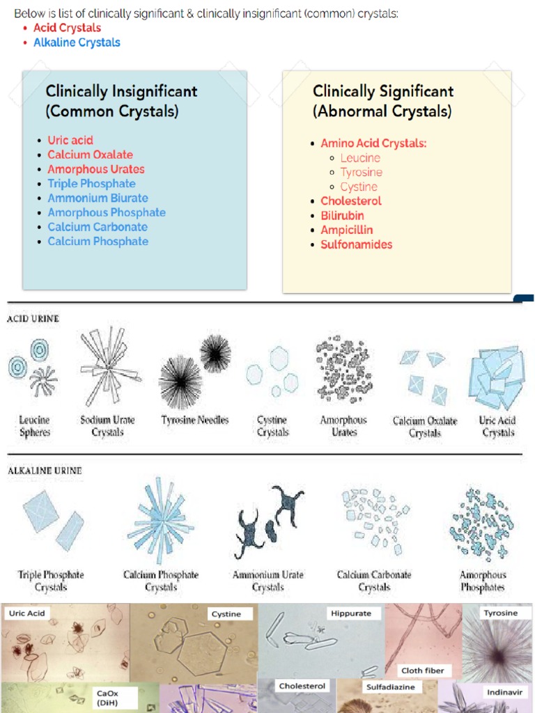 Gambar sedimen urin | PDF