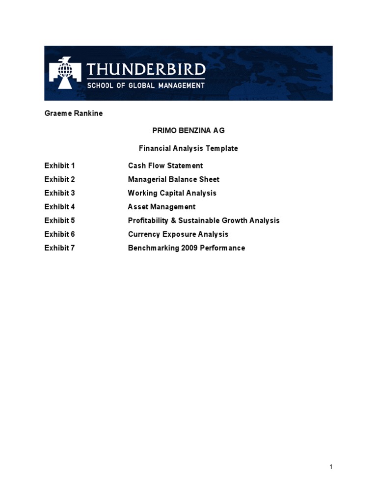Primo Benzina AG Financial Analysis Report | PDF