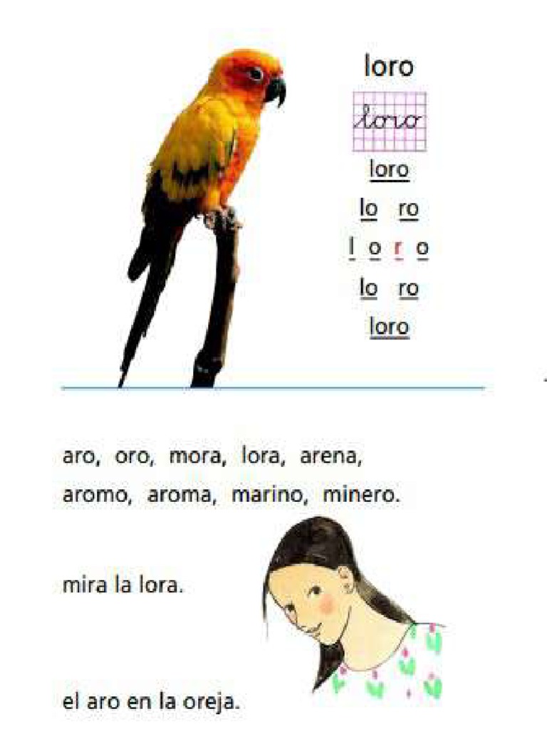 Lección Loro 1°básico Método Matte | PDF