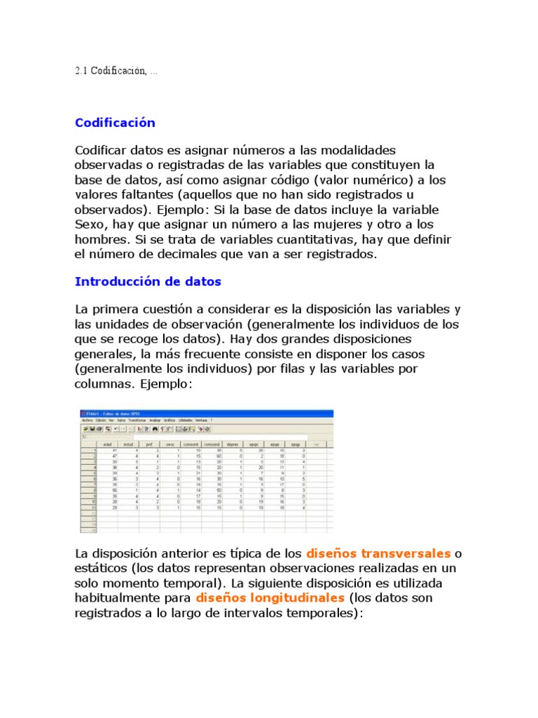 Codificacion de Base de Datos | PDF