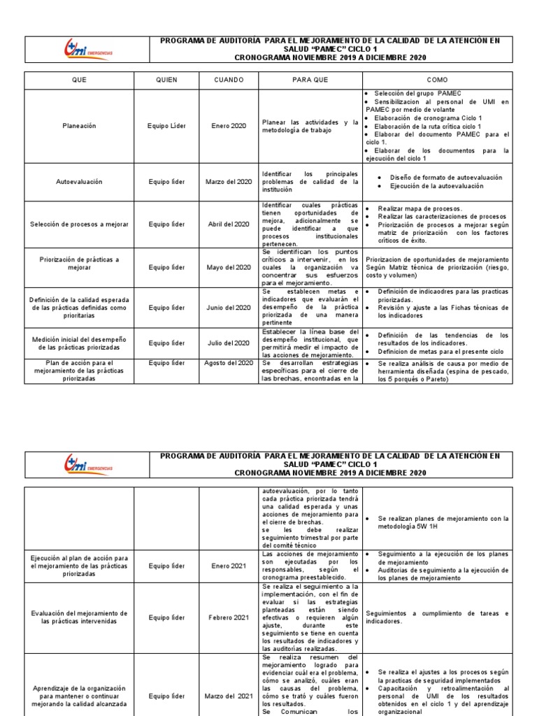 Cronograma PAMEC 2020-2021 | PDF