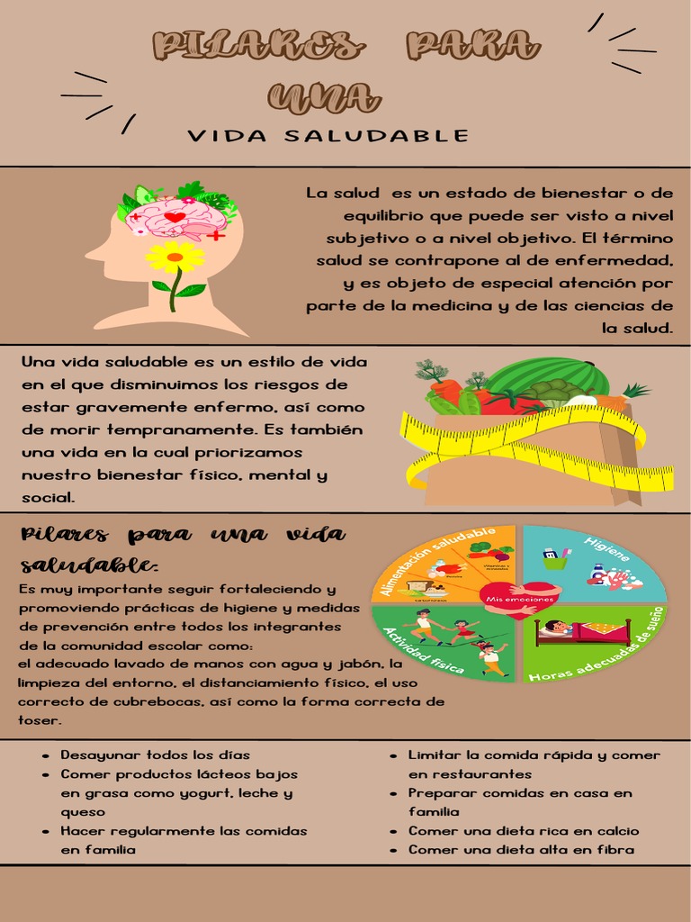 Infografía - La Salud | PDF