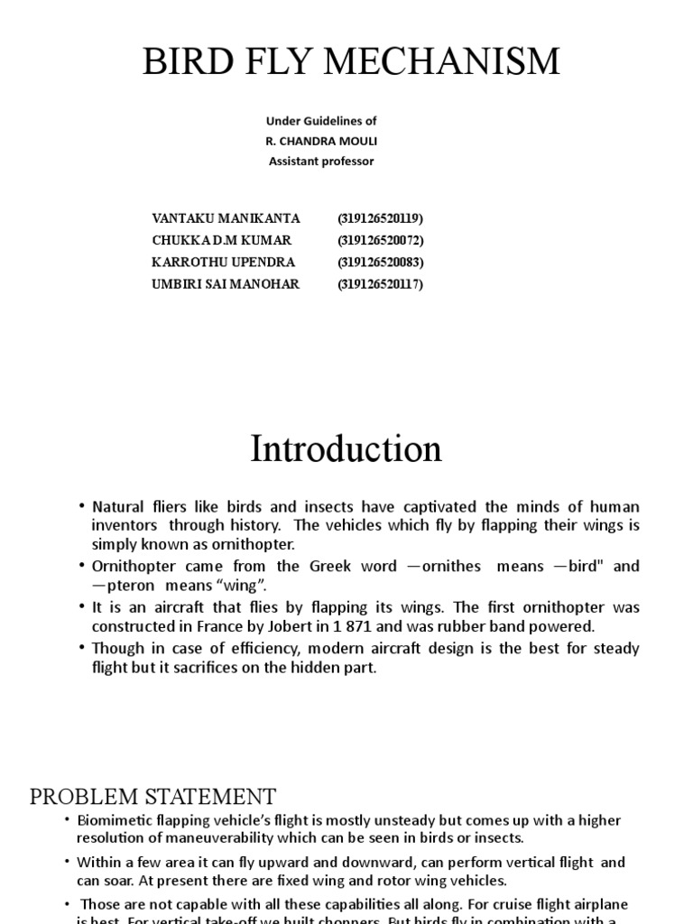 Bird Fly Mechanism 1 | PDF