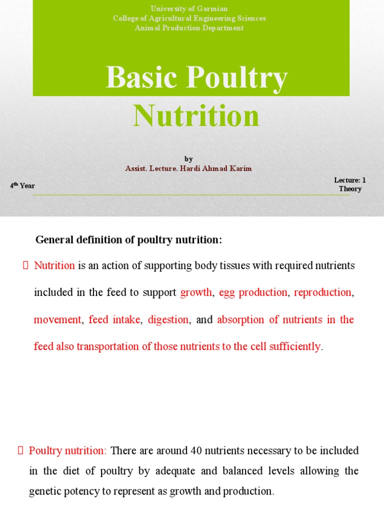 Basic Poultry: Nutrition | PDF