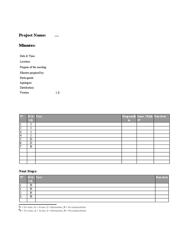 Template Minuta Sedinta | PDF