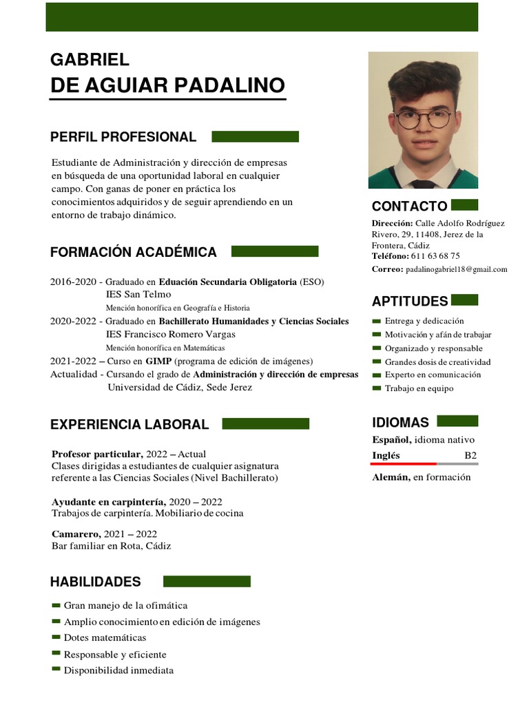 Gabriel CV | PDF