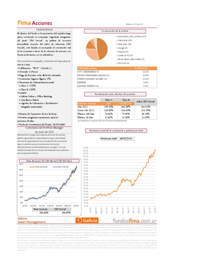 Fima Acciones | PDF