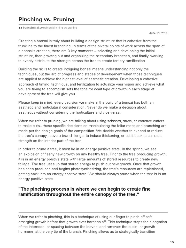 Pinching Vs Pruning | PDF | Career & Growth | Home & Garden