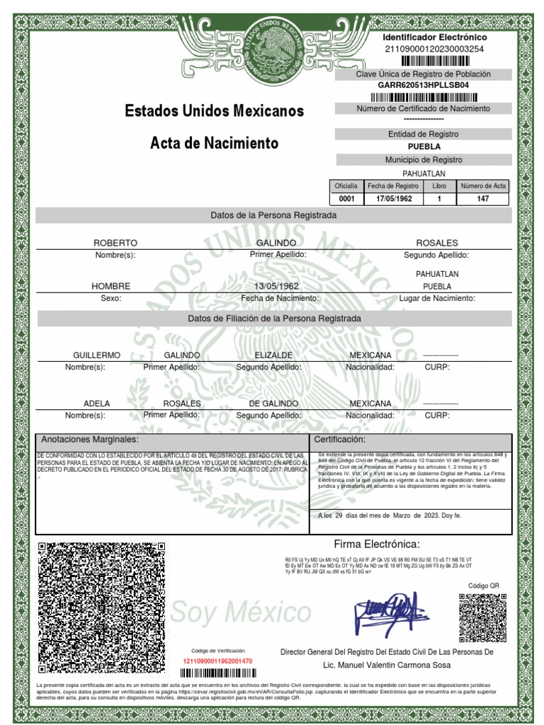 ROBERTO | PDF | Gobierno y personalidad | Documentos legales