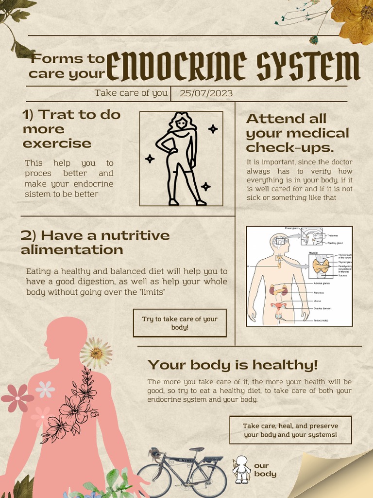 Endocrine System Poster | PDF