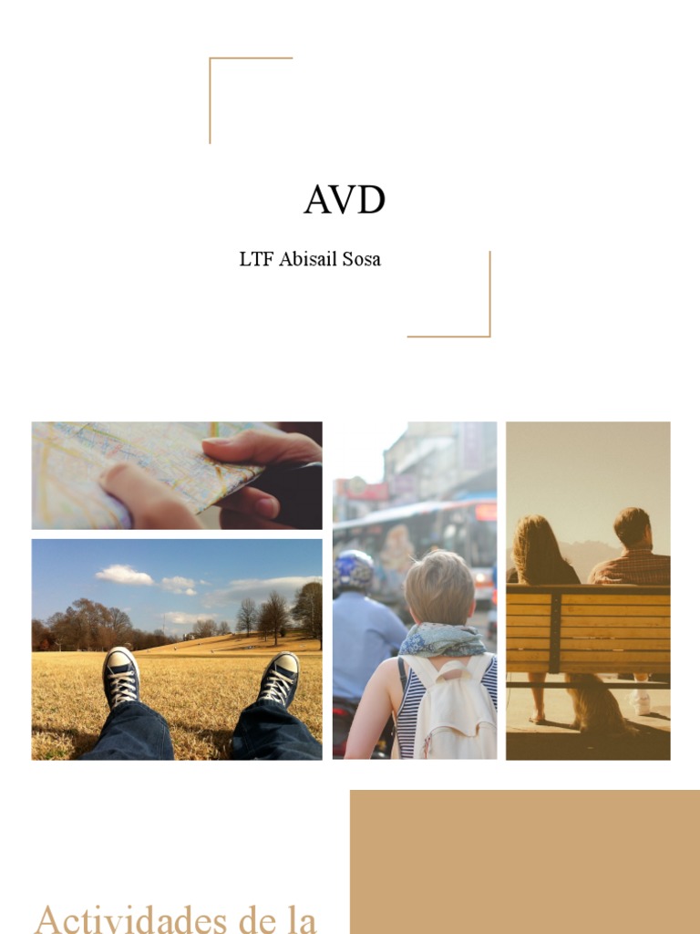 AVD | PDF