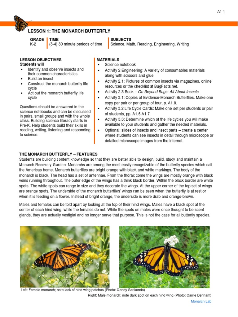 Final K 2 Binder | PDF | Pollinators | Insects