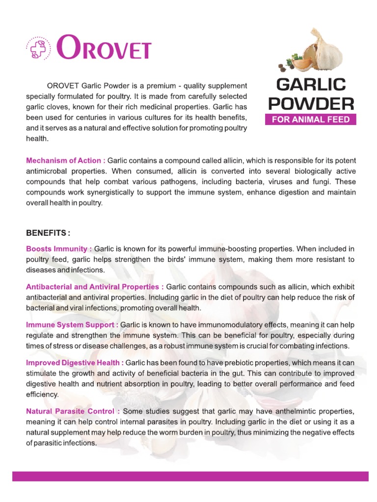 GARLIC | PDF