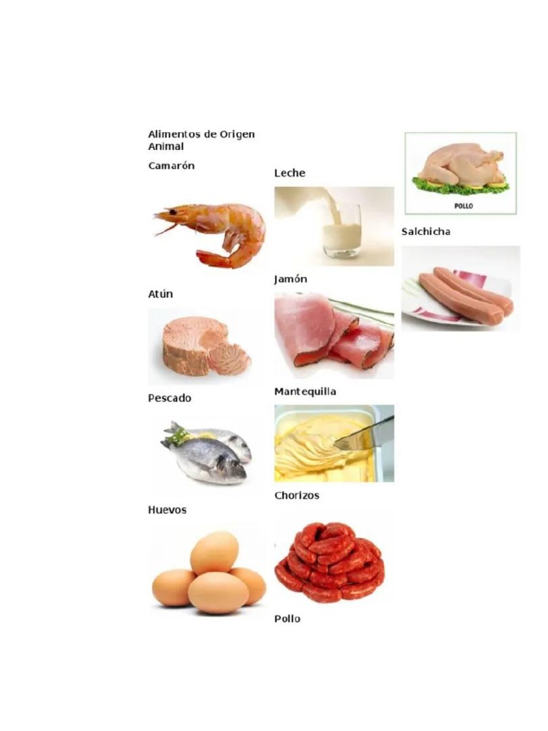 Alimentos de Origen Animal Thomas | PDF