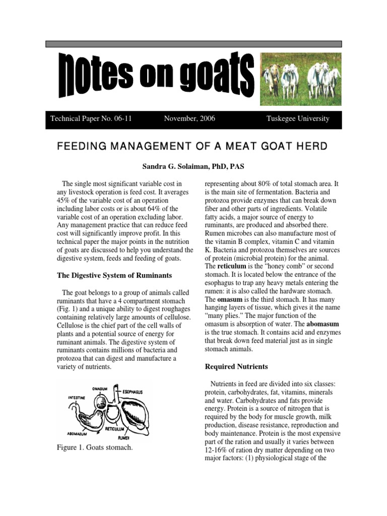 Goats Production and Feeding Guide | Download Free PDF | Ruminant | Goat