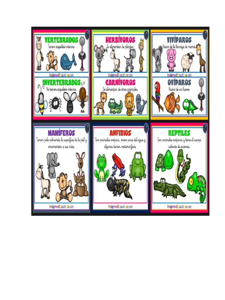 Clasificacion de Los Animales | PDF