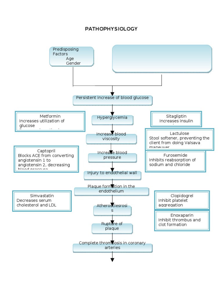 ACS Pathophysiology | PDF