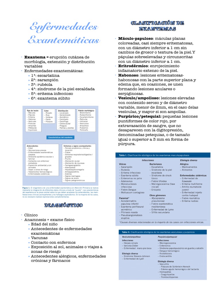 Enfermedades Exantemáticas | PDF | Enfermedades y trastornos | Medicina