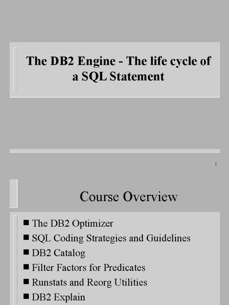 The DB2 Engine - The Life Cycle of A SQL Statement | PDF | Database ...