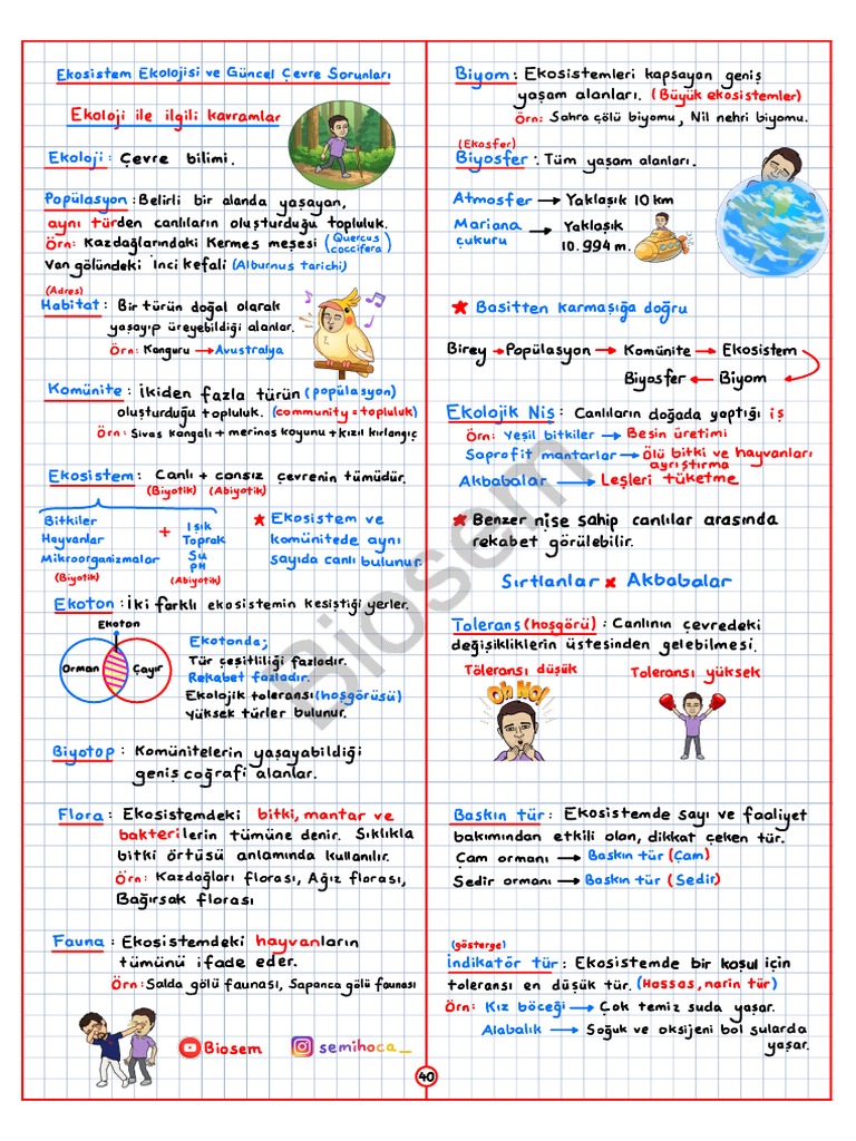 Ekoloji Ekosistemle İlgili Kavramlar Biosem | PDF