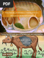 Mat. Estudos - Microbiota Ruminal - Nutrição de Ruminantes | PDF ...