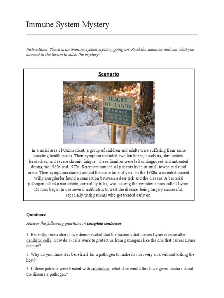 06 08 Immune System Mystery Assignment | PDF