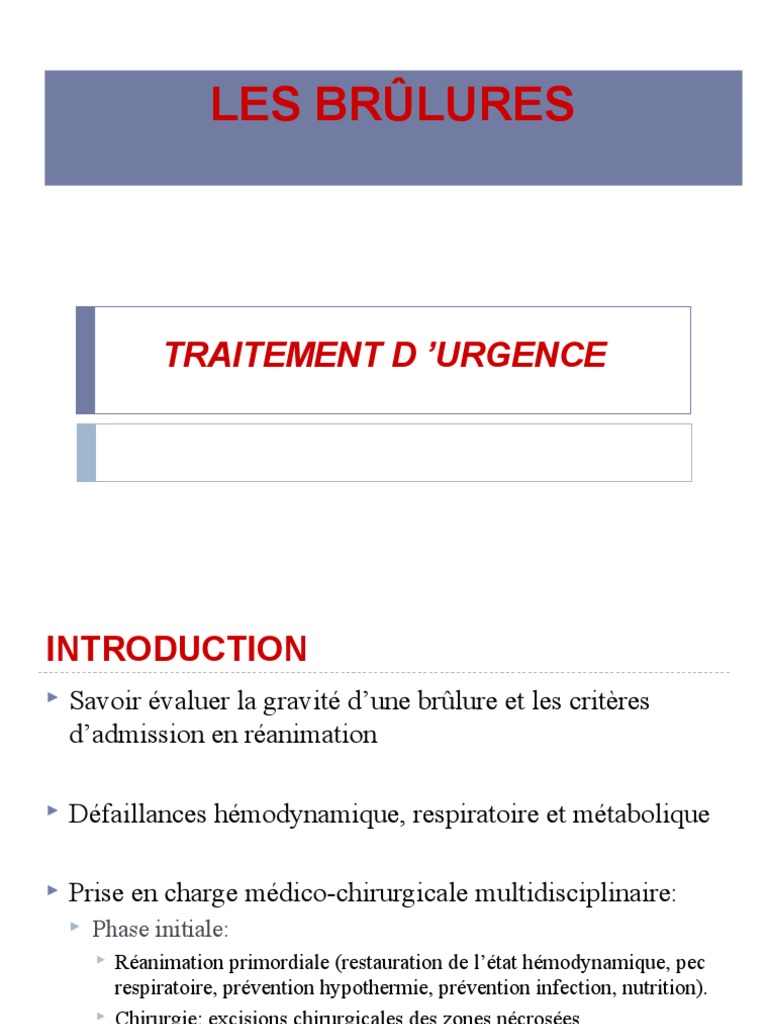 Réa Brûlure Grave | PDF