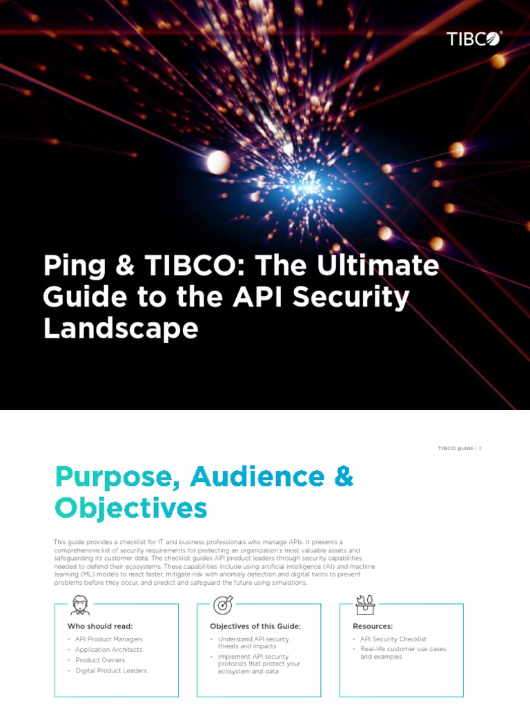 Api Security Guide | PDF