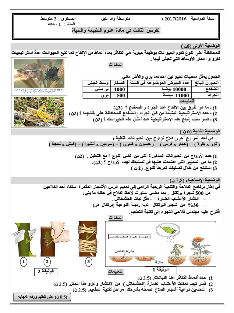 sujet 2eme année moyen s.n.v 2 | PDF