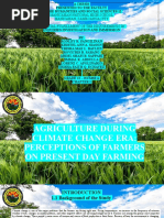 The Effect of The Kaingin System On The Quality of Soil and Growth of ...