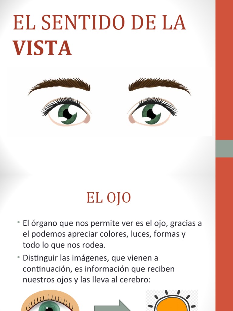 Kº - Clase El Sentido de La Vista | PDF