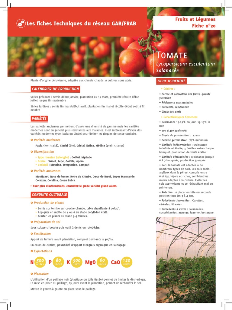 FicheFL20_tomates | PDF