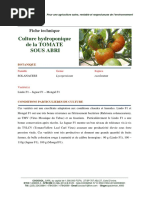 Fiche Technique Culture de La Tomate | PDF
